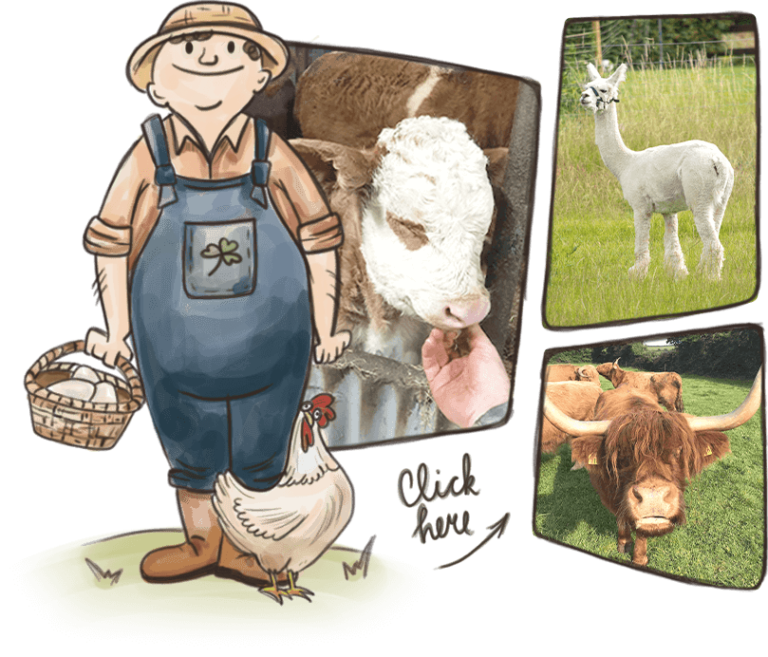 Home - Castleview Open Farm