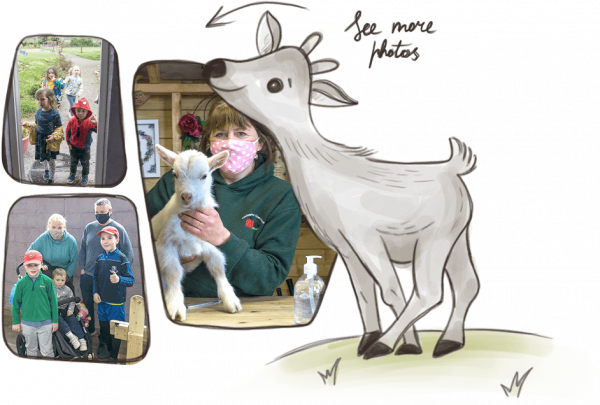 Home - Castleview Open Farm