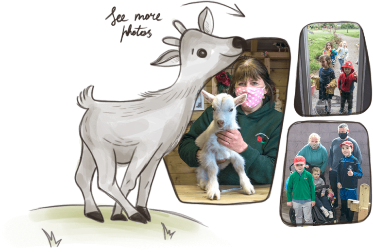 About - Castleview Open Farm