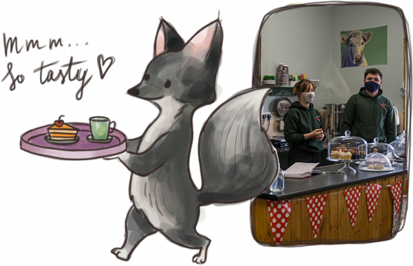 Plan Your Day - Castleview Open Farm