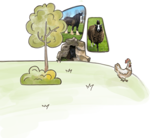 Home - Castleview Open Farm