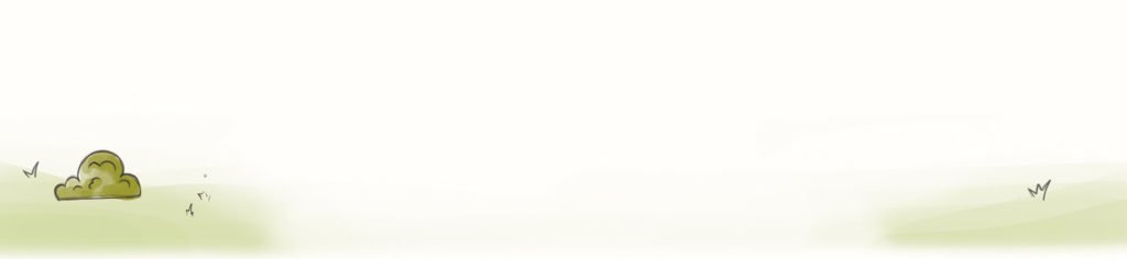 Home - Castleview Open Farm