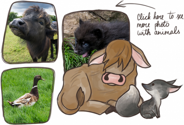 Home - Castleview Open Farm