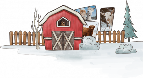 Home - Castleview Open Farm