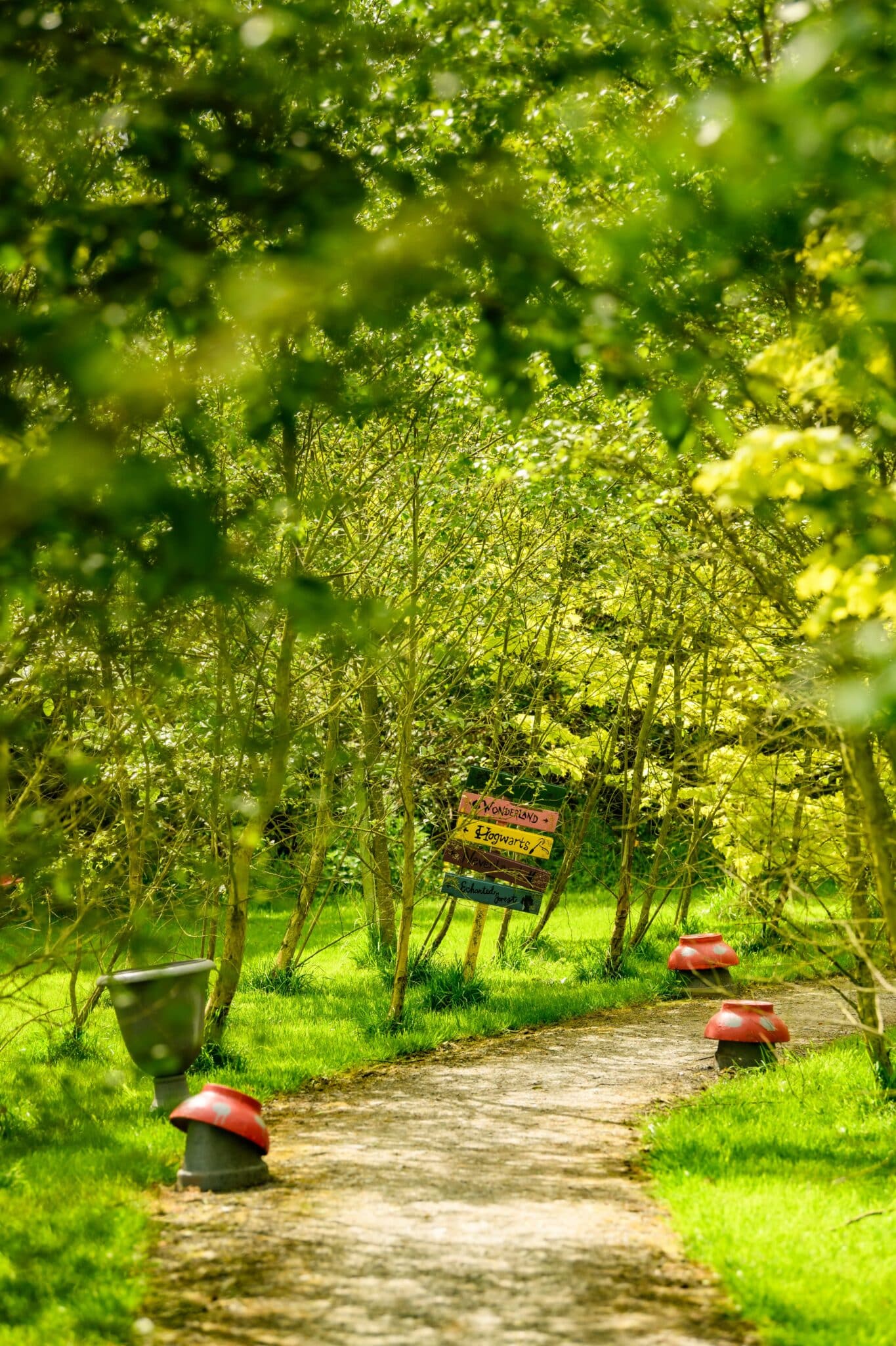 About - Castleview Open Farm