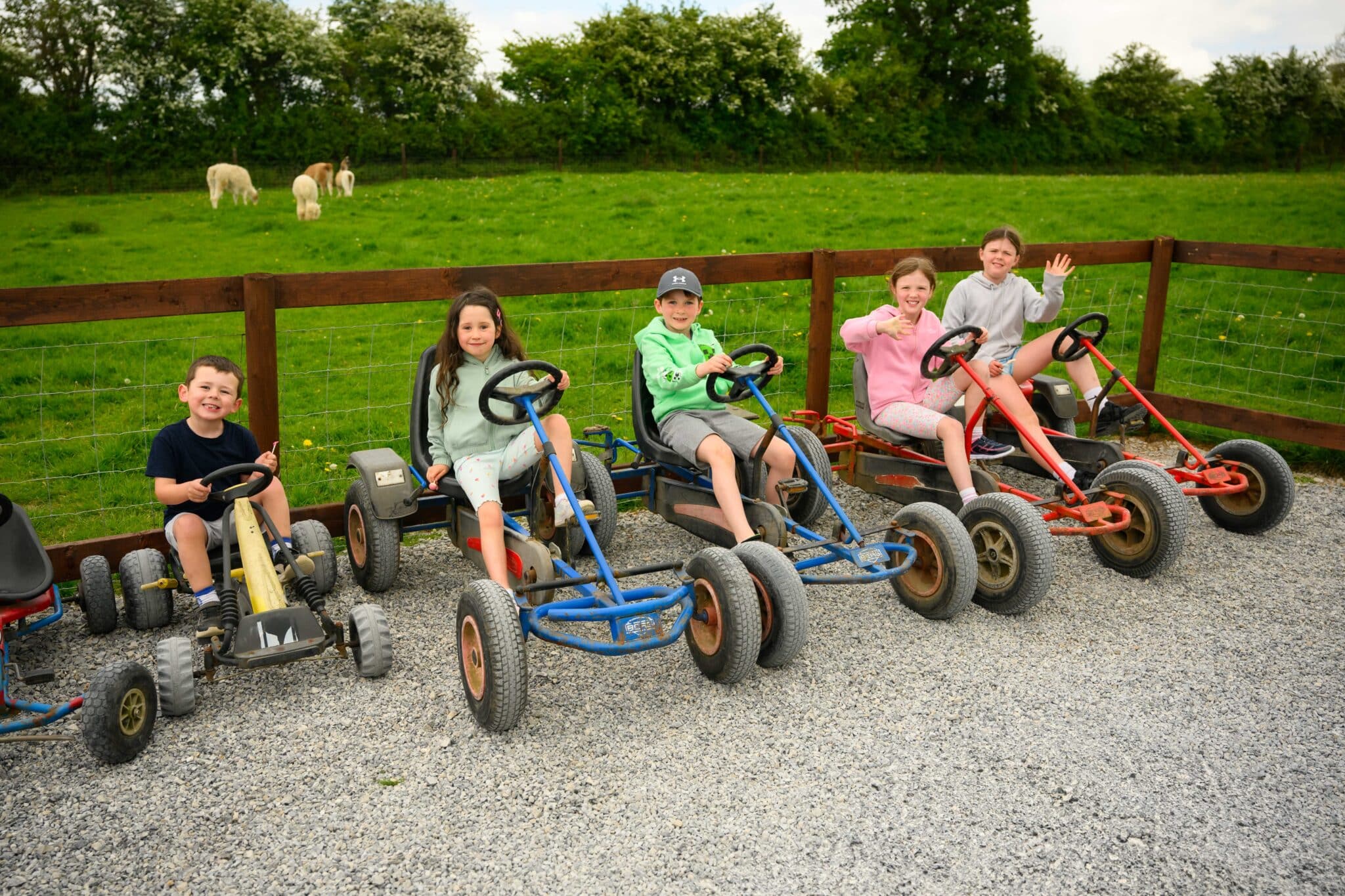 Castleview Open Farm | Petting Farm & Family Day Out, Laois